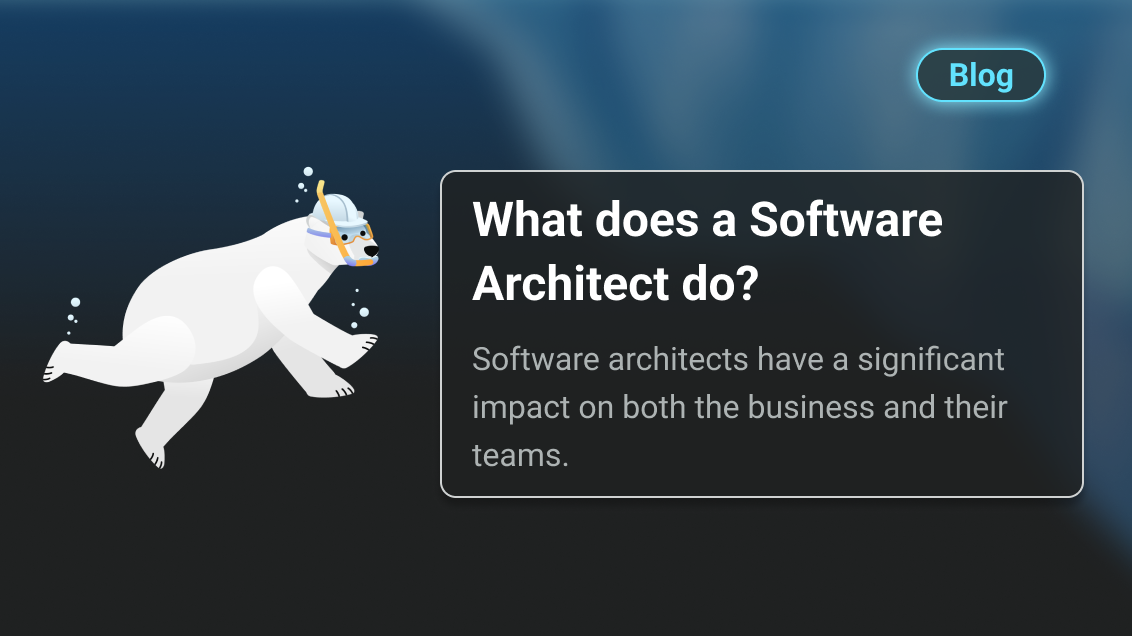 What does a Software Architect do?